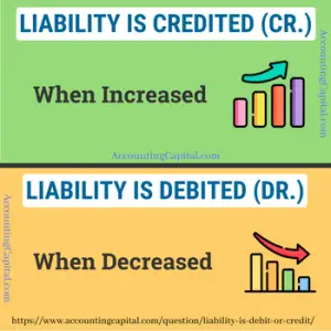 Liability is Debit or Credit? | How & Why? | Examples | More..