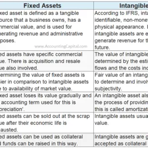 List of Tangible and Intangible assets - Accounting Capital